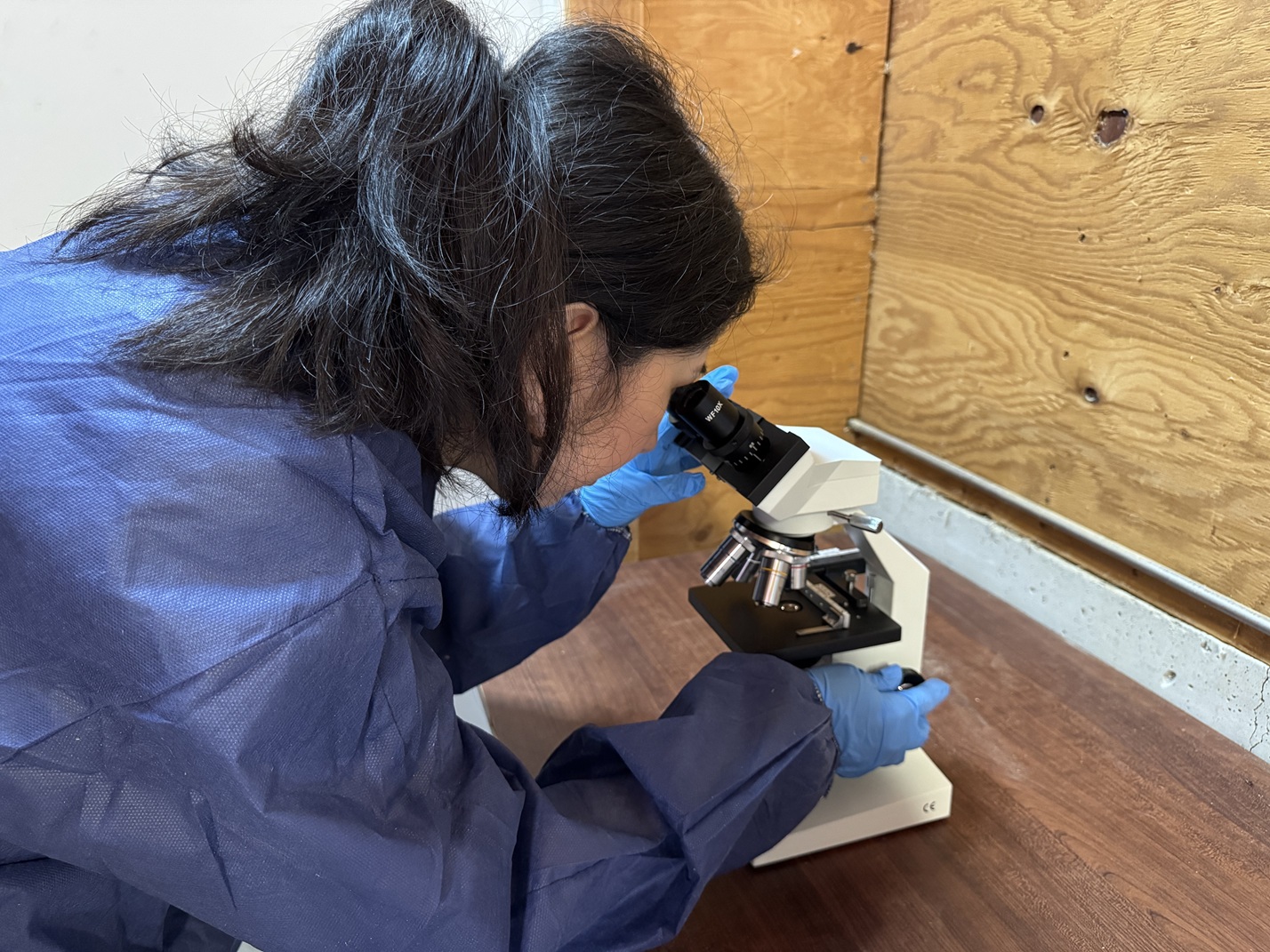 PoultryMed Veterinary Services